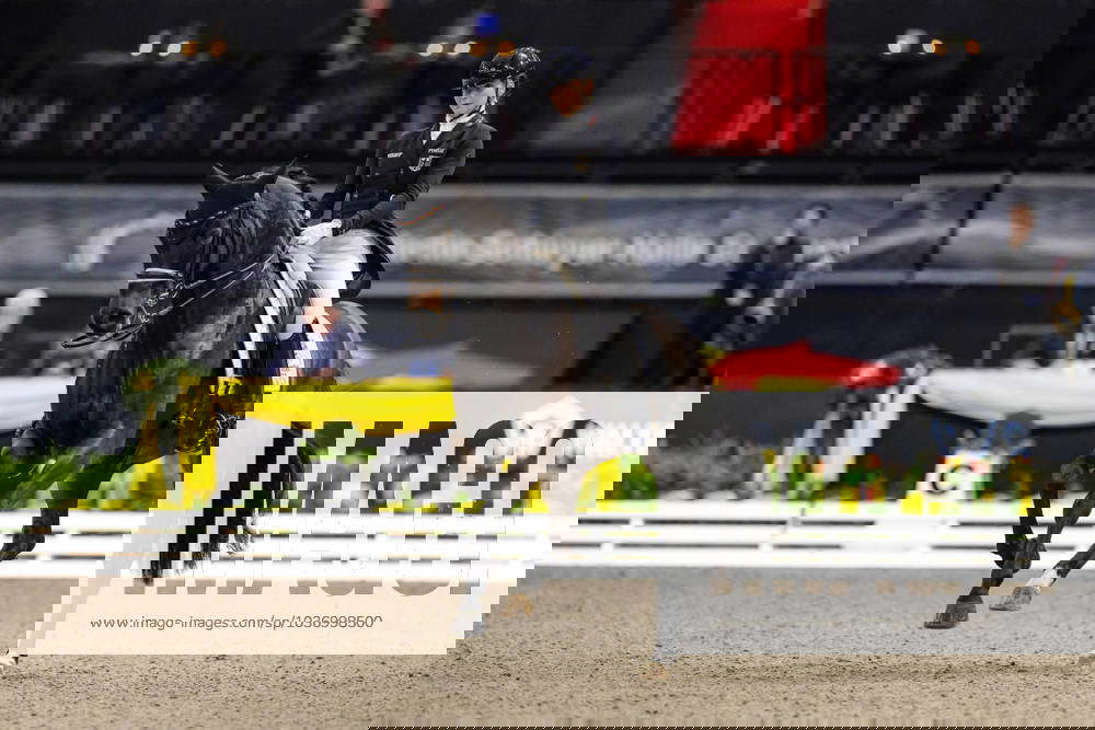 - Grand Prix Preis der Liselott Schindling Stiftung zur Förderung des ...