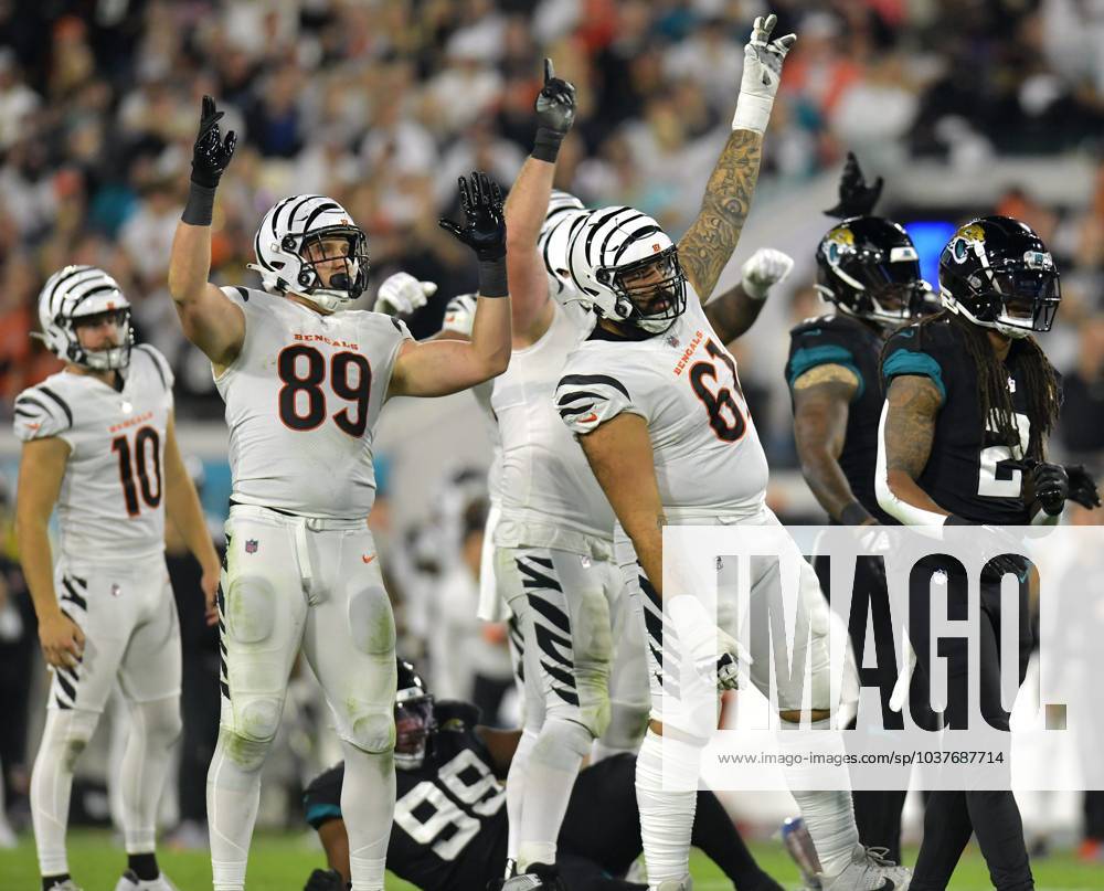 Syndication: Florida Times-Union Cincinnati Bengals players watch as a ...