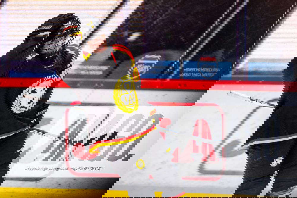 Brynäs Anna Meixner celebrates after her goal in the penalty shootout ...