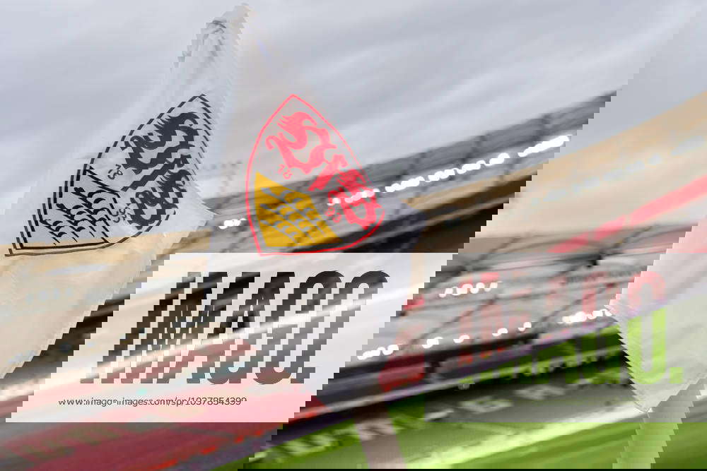 Before the start of the match, Symbolic image, Logo, Crest VfB ...