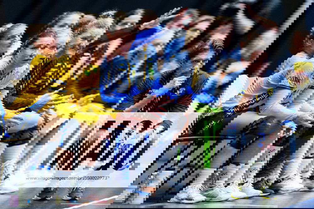 Anna Lagerquist of Sweden and Head coach Tomas AxnÃ r looks dejected during the IHF Women?s World