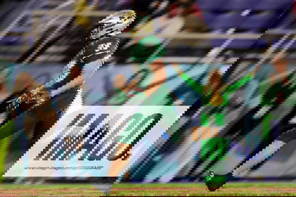 NCAA, College League, USA Football: Boca Raton Bowl-South Florida at ...