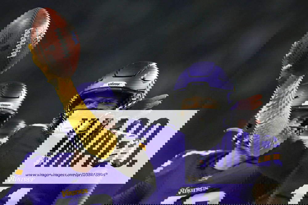 MINNEAPOLIS, MN - DECEMBER 31: Minnesota Vikings defensive back NaJee ...