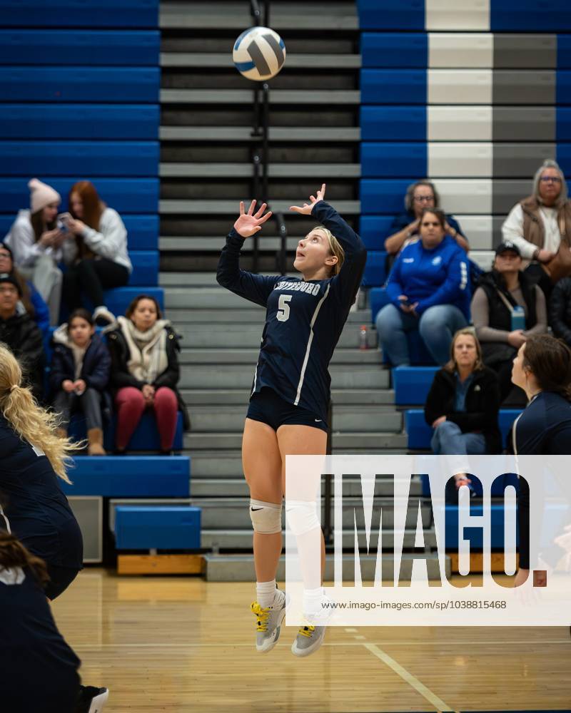 Syndication: Utica Observer Dispatch Whitesboro s Brianna DeHimer sets ...