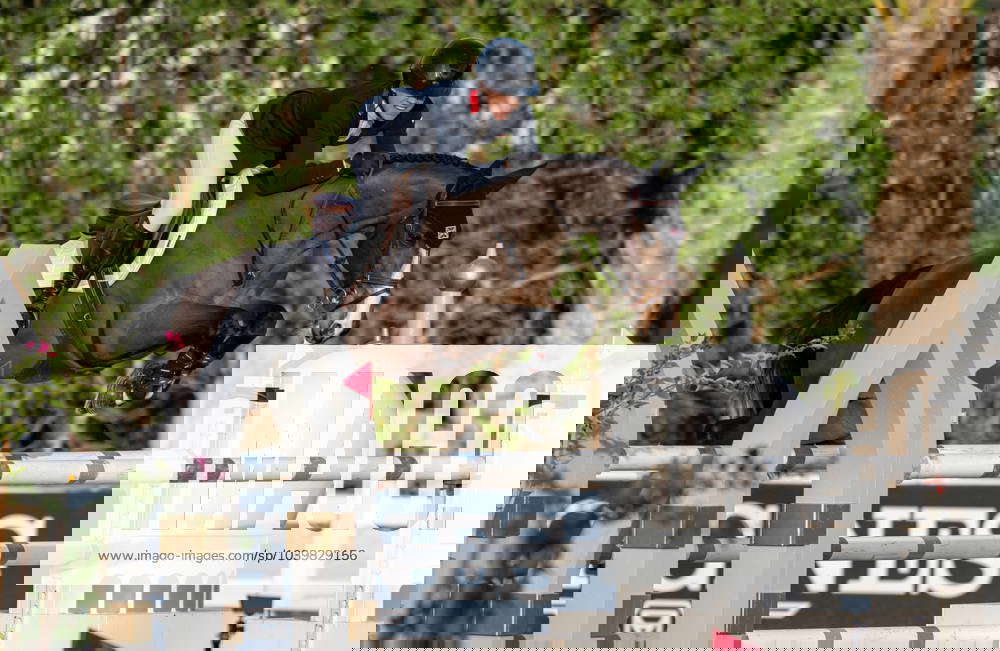 SKYE HIGGIN of Britain on DJORDANIA DU TILLARD tackles a jump in CSIO4 ...