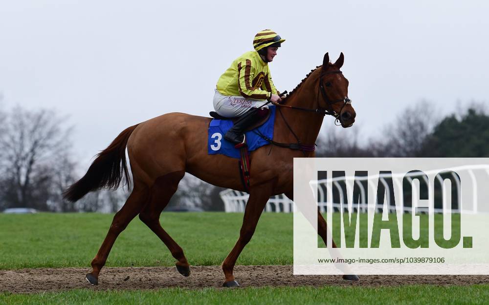 Exeter Races, Exeter, UK - 31 Jan 2024 Royal Jewel ridden by Elizabeth ...
