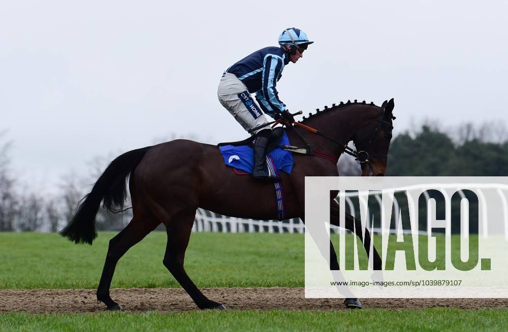 Exeter Races, Exeter, UK - 31 Jan 2024 Muskoka ridden by Joe Anderson ...