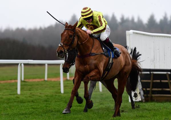 Exeter Races, Exeter, UK - 31 Jan 2024 Royal Jewel ridden by Elizabeth ...