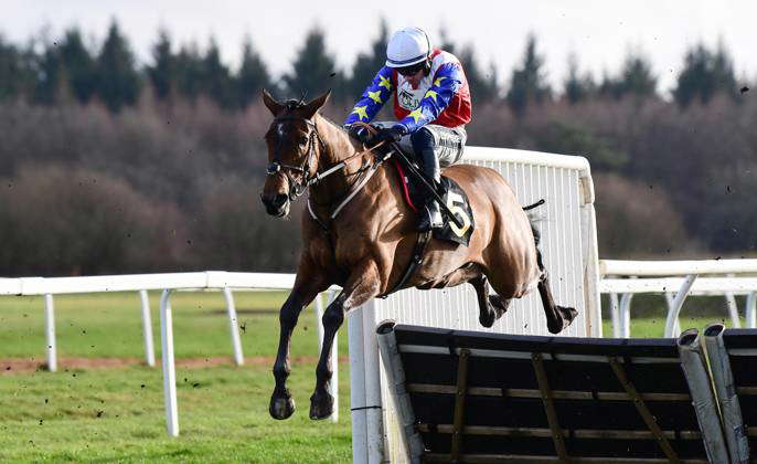 Exeter Races, Exeter, UK - 31 Jan 2024 Giver The Hollie ridden by ...