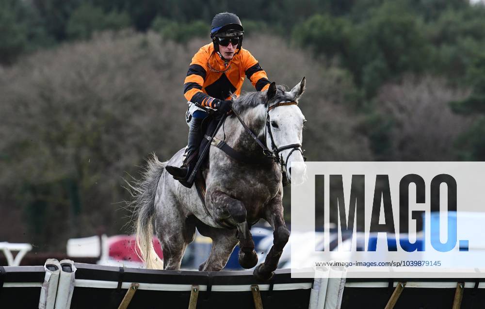 Exeter Races, Exeter, UK - 31 Jan 2024 Can t Say ridden by Ben Ffrench ...