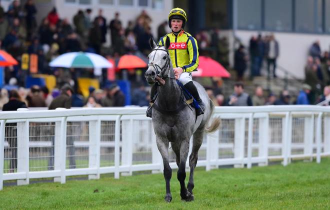 Exeter Races, Exeter, UK - 31 Jan 2024 Kansas Du Berlais ridden by Jay ...