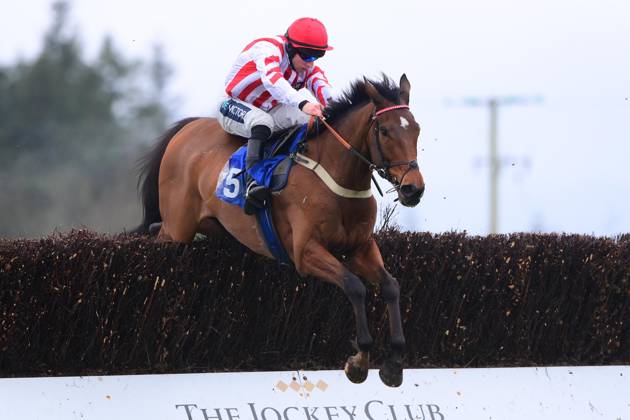 Exeter Races, Exeter, UK - 31 Jan 2024 Passing Well ridden by Gavin ...