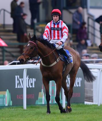 Exeter Races, Exeter, UK - 31 Jan 2024 Passing Well ridden by Gavin ...