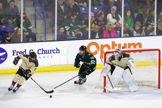 LOWELL, MA - FEBRUARY 04: Montreal defender Kati Tabin skates with the ...