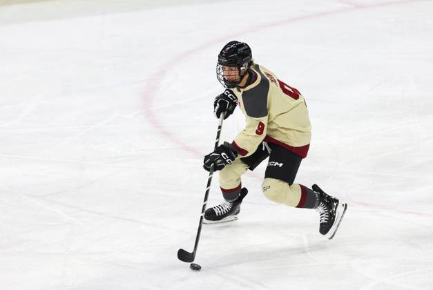LOWELL, MA - FEBRUARY 04: Montreal defender Kati Tabin skates with the ...