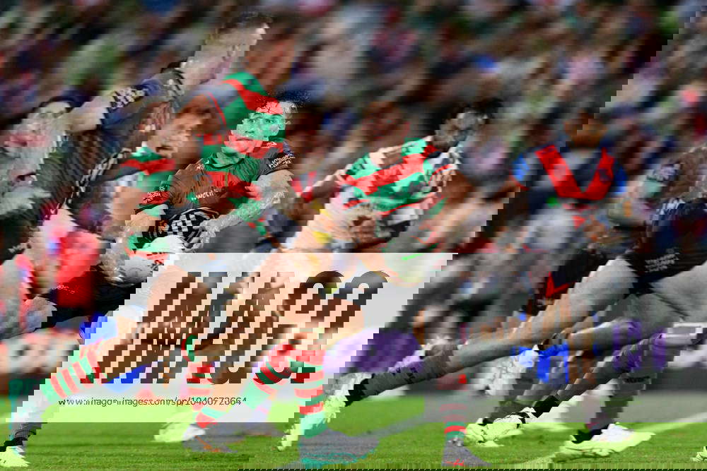 NRL PRE SEASON RABBITOHS DRAGONS, Cameron Murray of the South Sydney ...