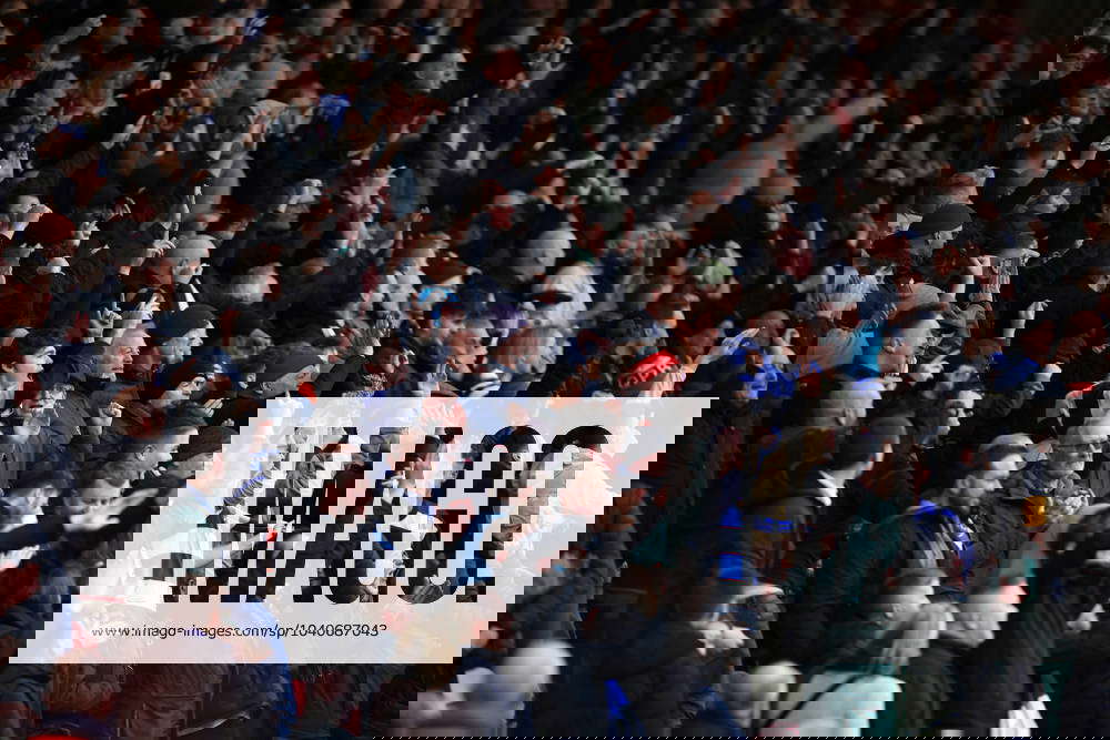 Queens Park Rangers fans celebrate as the go 0-1 up Bristol City v ...