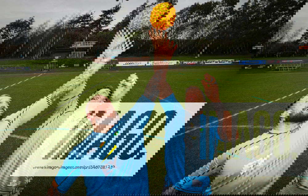 UCD Rugby Announce Details of Annual Daffodil Day Collection in Aid of ...