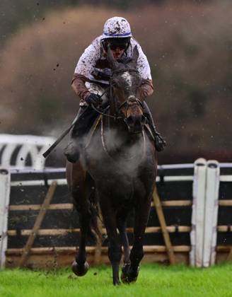 Exeter Races, Exeter, UK - 23 Feb 2024 Race Winner, Spirits Bay ridden ...