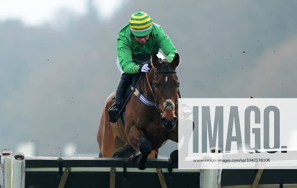 Exeter Races, Exeter, UK - 8 Mar 2024 Race Winner, PiratesÕ Tale ridden ...