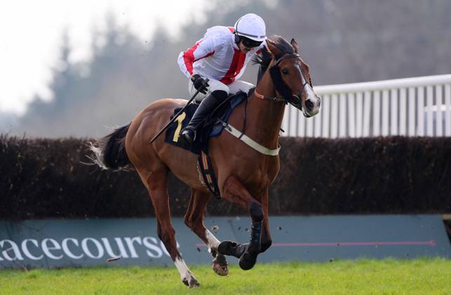 Exeter Races, Exeter, UK - 8 Mar 2024 Race Winner, Goshen ridden by ...