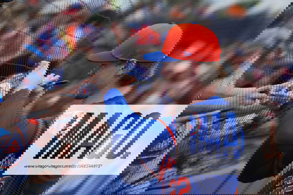 MLB, Baseball Herren, USA Spring Training-Detroit Tigers at New York ...