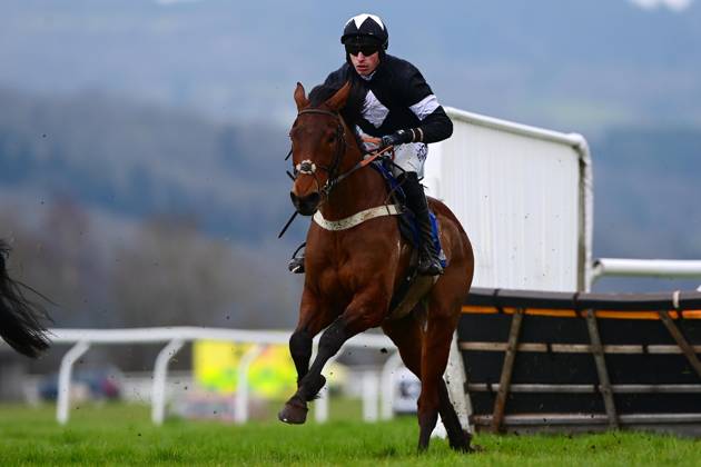 Taunton Races, Taunton, UK - 11 Mar 2024 Timeforarum ridden by Ellis ...
