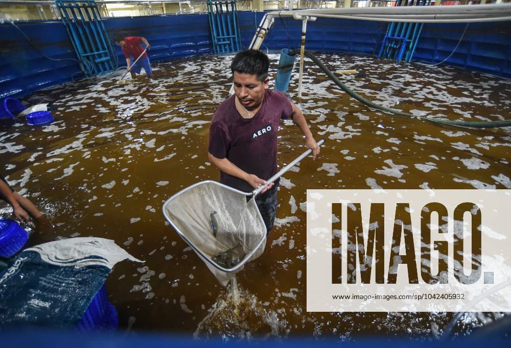Syndication: Treasure Coast Julio Jose (front), Manuel Andres (background). and Virgilio Pascuel