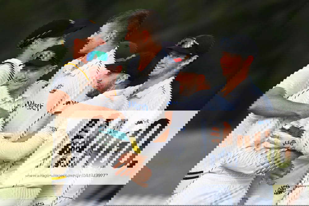 CRICKET SHIELD VIC WA, Liam Haskett of Western Australia celebrates ...