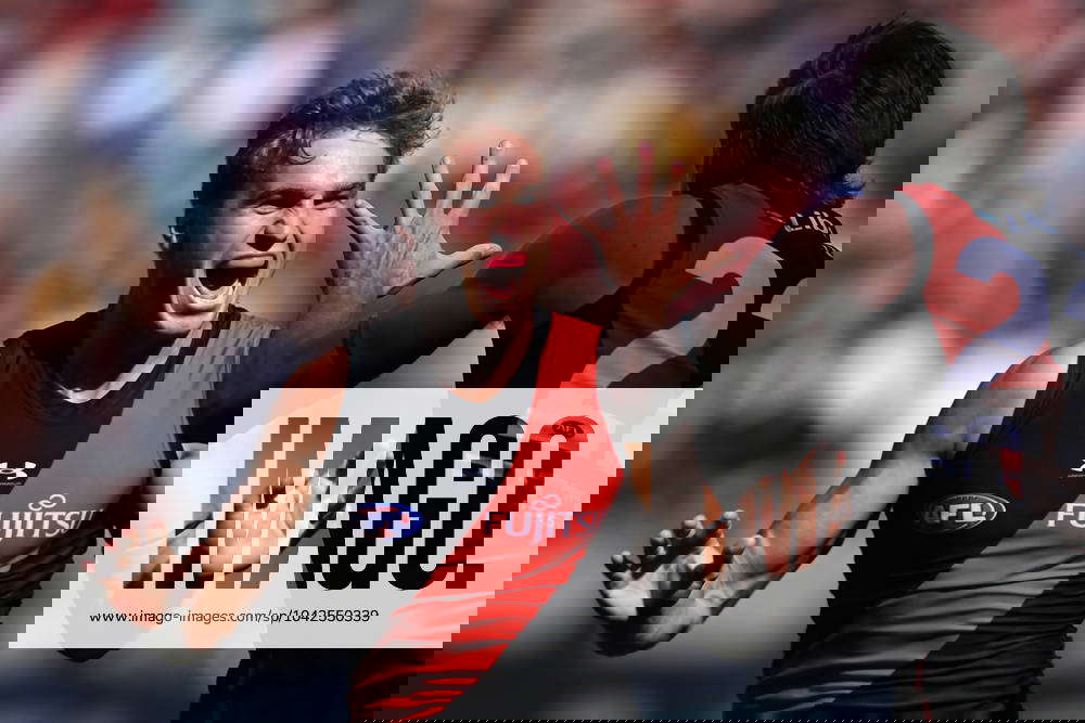 AFL BOMBERS HAWKS, Matt Guelfi of Essendon reacts after Sam Durham of ...