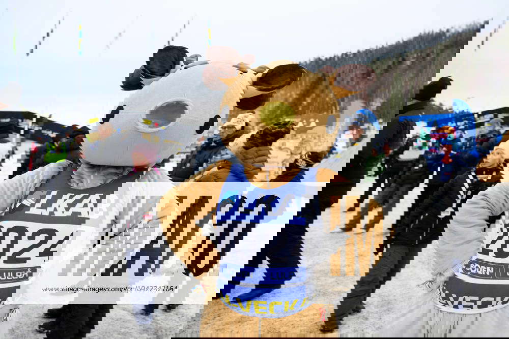 IMAGO - Images & Videos for Media, Sports & Brand.