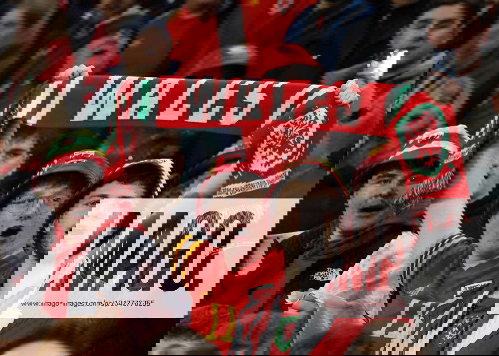 Cardiff, Wales, 21st March 2024. Welsh fans look on during the UEFA ...