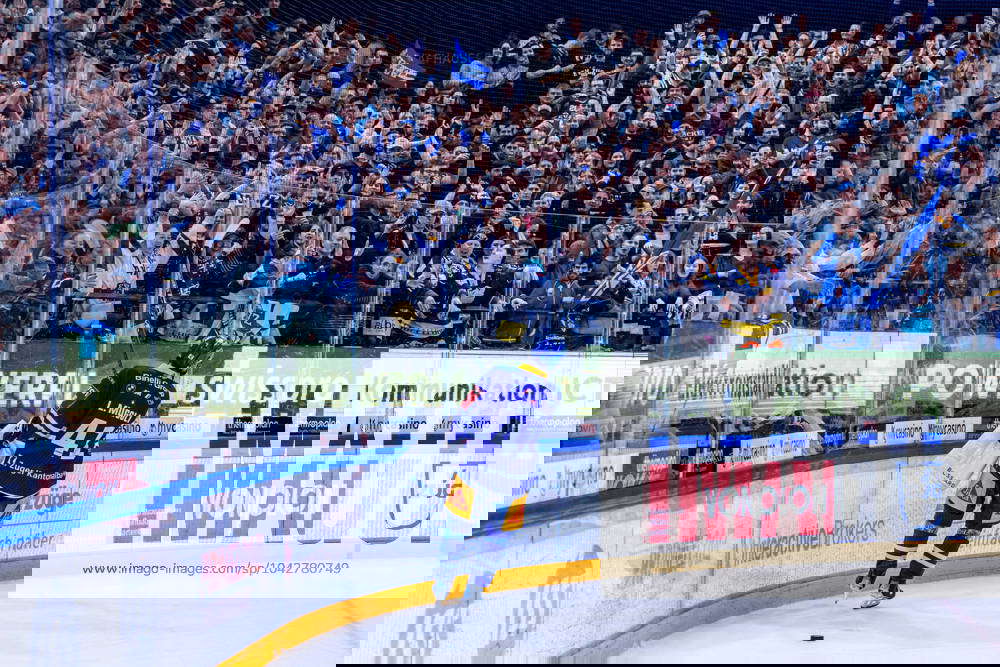 Leon Muggli 41 EV Zug is celebrated once again by the Zug fans ...