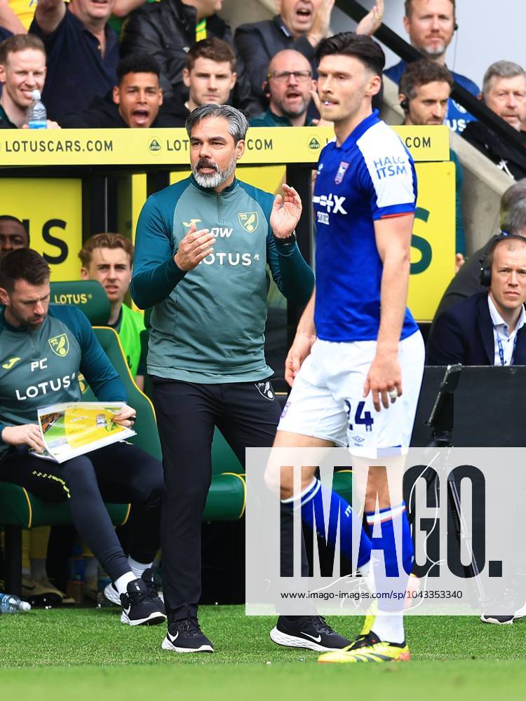 Norwich Manager David Wagner encourages his players Norwich City v ...