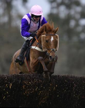 Exeter Races, Exeter, UK - 7 April 2024 Our Friend Mo ridden by Kevin ...