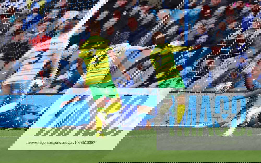 Josh Sargent of Norwich City scores a goal and celebrates 0-1 Sheffield ...