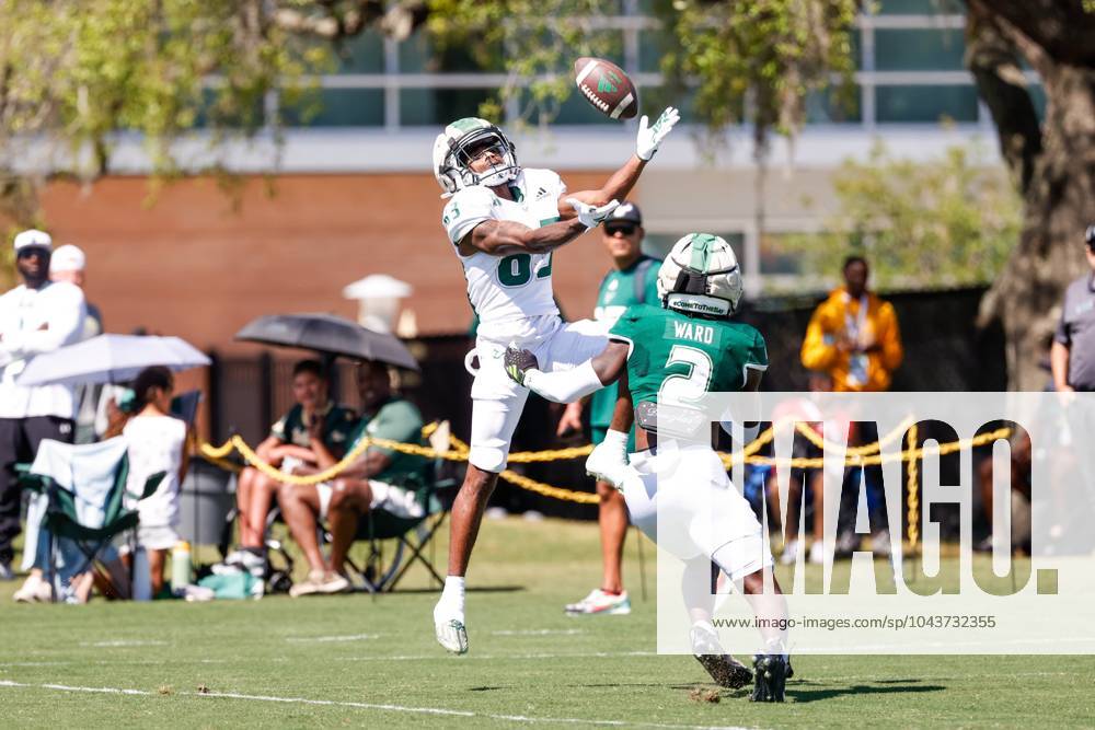 Tampa, Florida, USA: USF wide receiver Ranod Smith jumps up for a pass ...