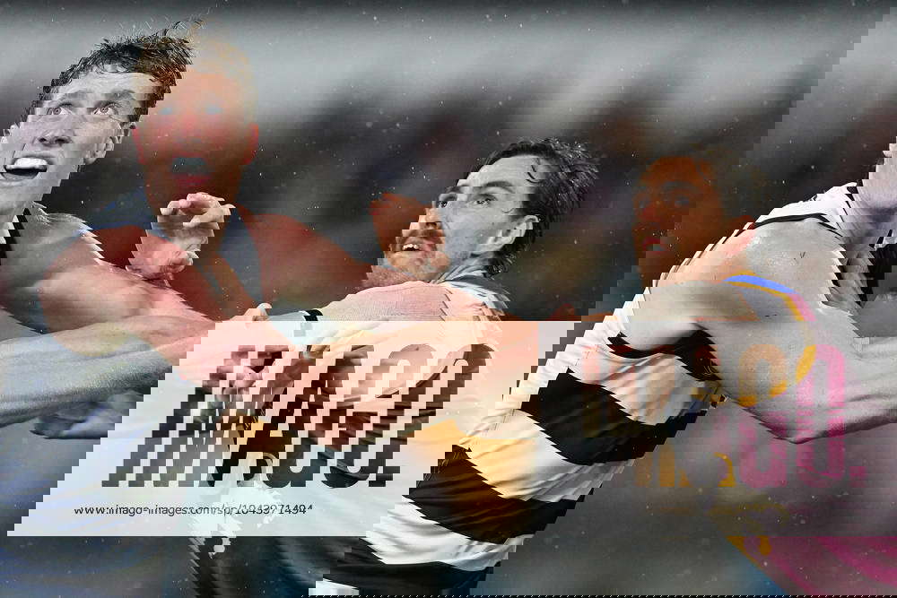 AFL LIONS CATS, Toby Conway of the Cats (left) and Joe Daniher of the ...