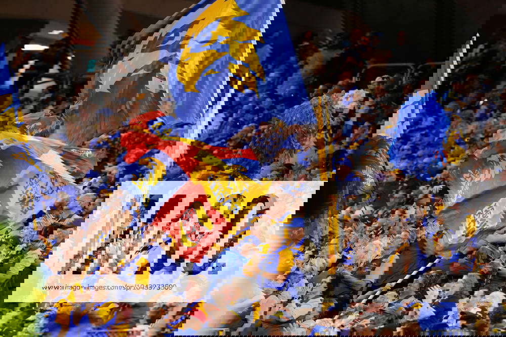 AFL EAGLES DOCKERS, West Coast fans celebrate another Eagles goal ...