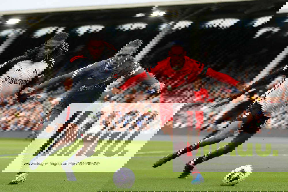 IMAGO - Images & Videos for Media, Sports & Brand.