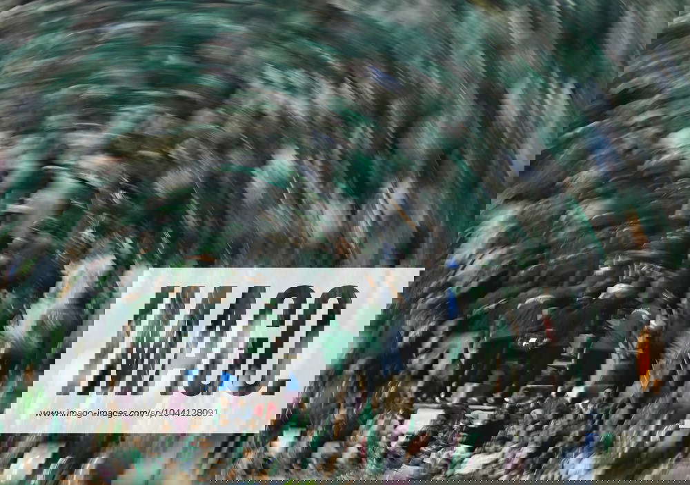 Saudi Arabia v Iraq - AFC U23 Asian Cup Group C Saudi Arabian fans are ...