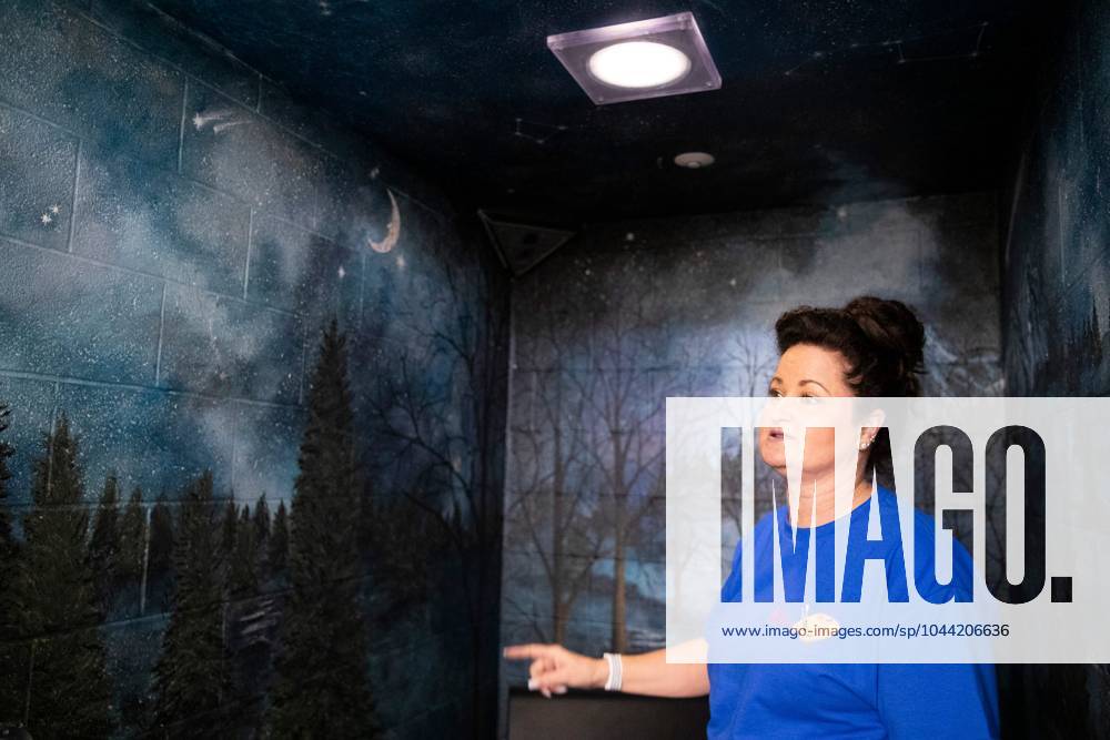 Syndication: The Commercial Appeal Artist Mary Minor explains the ...