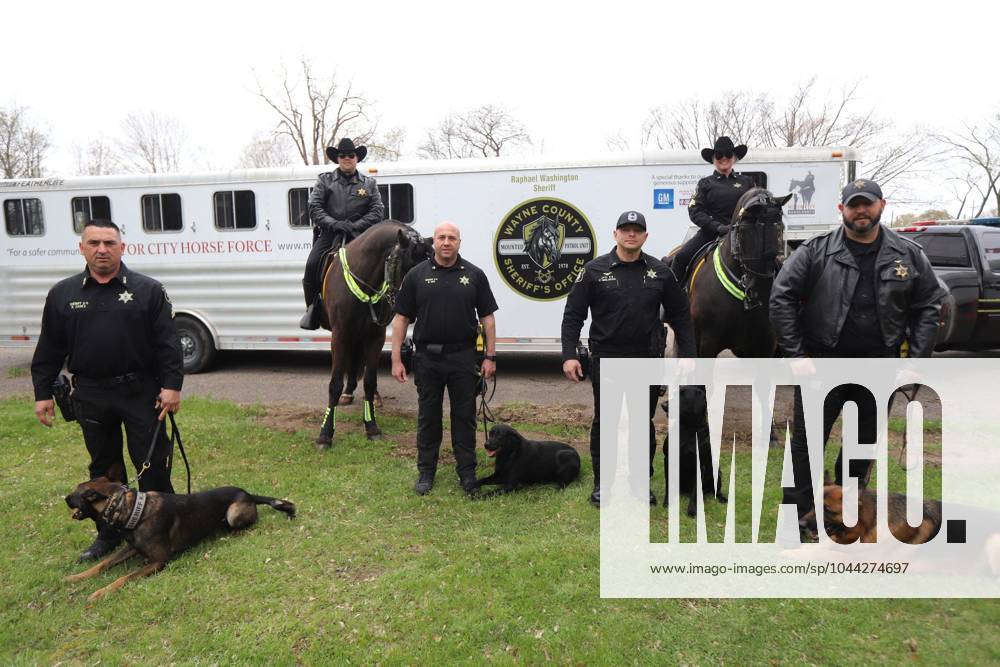 Syndication: Detroit Free Press The Wayne County Sheriffs mounted and K ...