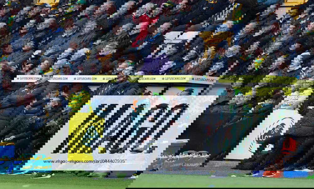 Norwich City manager David Wagner at Carrow Road against Swansea City ...