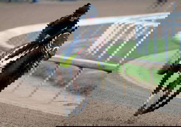 Kentucky Derby favorite Fierceness gallops on the track during early ...