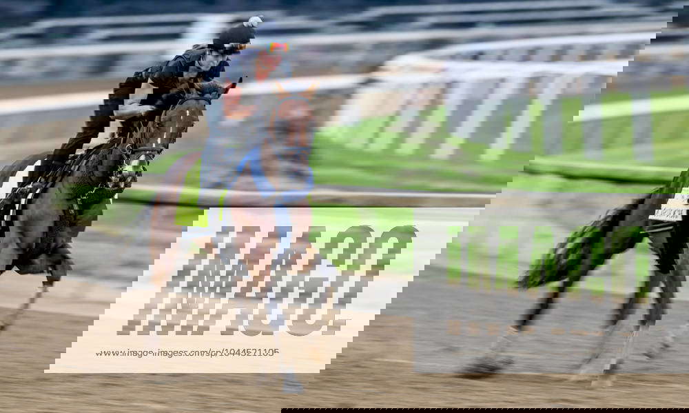 Louisville, Ky, USA: Dornoch, trained by Danny Gargan, exercises in ...