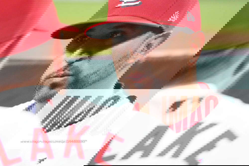 St. Louis Cardinals manager Oliver Marmot talks with pitching coach ...