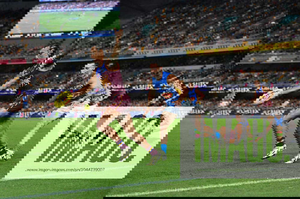 AFL LIONS SUNS, Bruce Reville of the Lions in action during the AFL ...