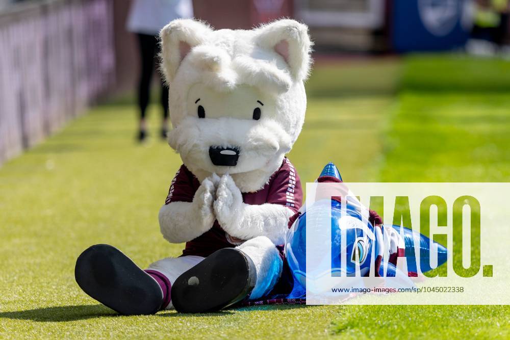 Hearts Mascot gets ready for trip to Europe Heart of Midlothian v ...