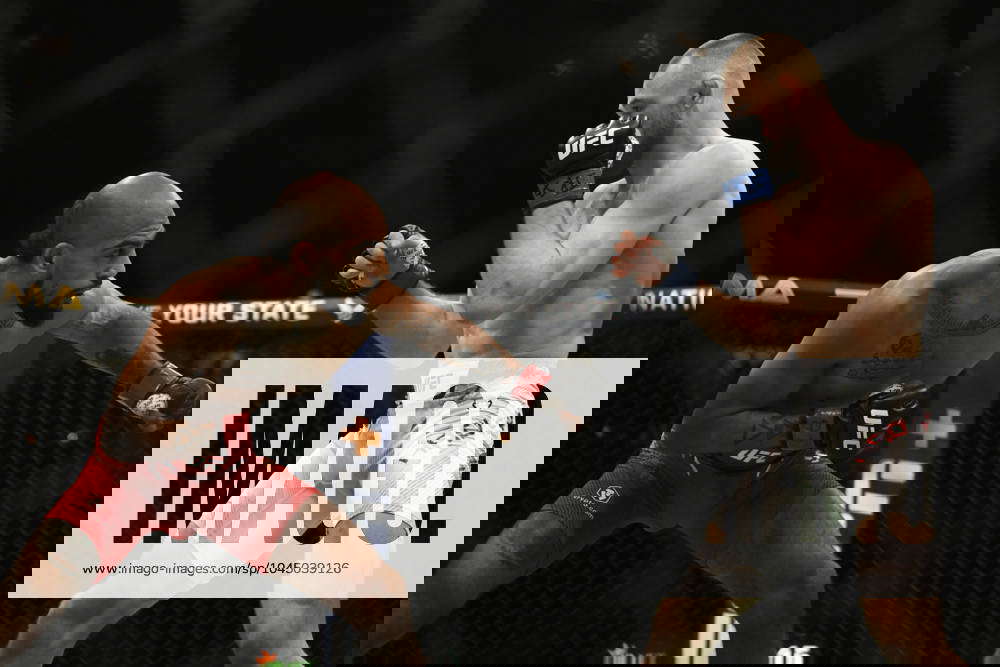 MMA: UFC Fight Night-St. Louis-Johnson vs Hadley May 11, 2024; St ...